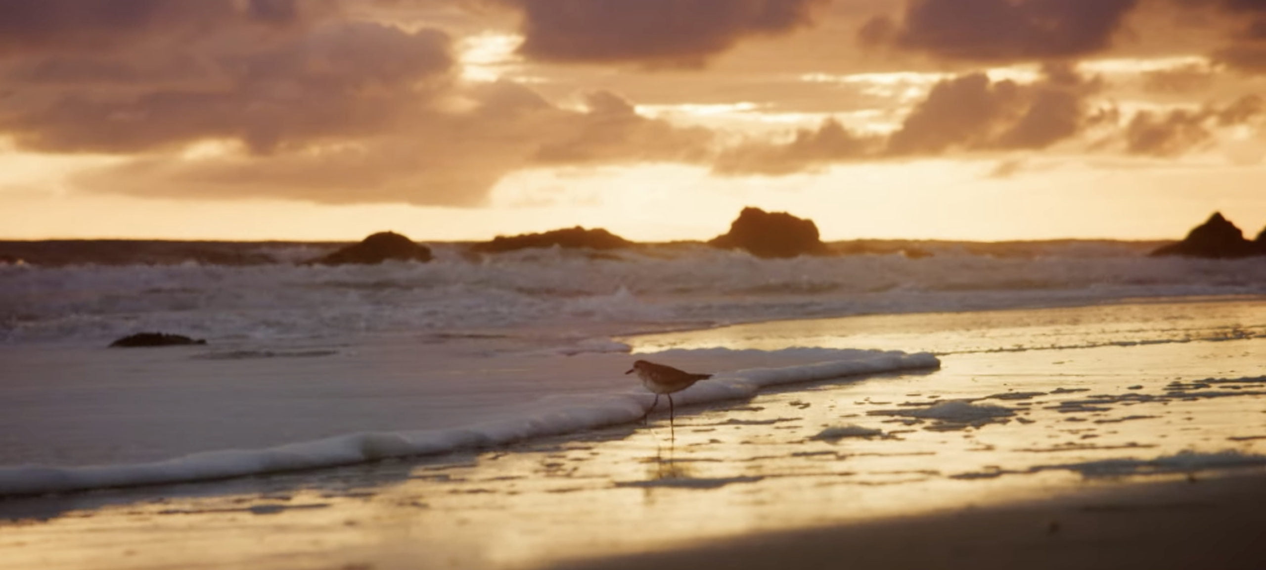 Sue Ding, ’17, wins L.A. Area Emmy Award - MIT Graduate Program in ...